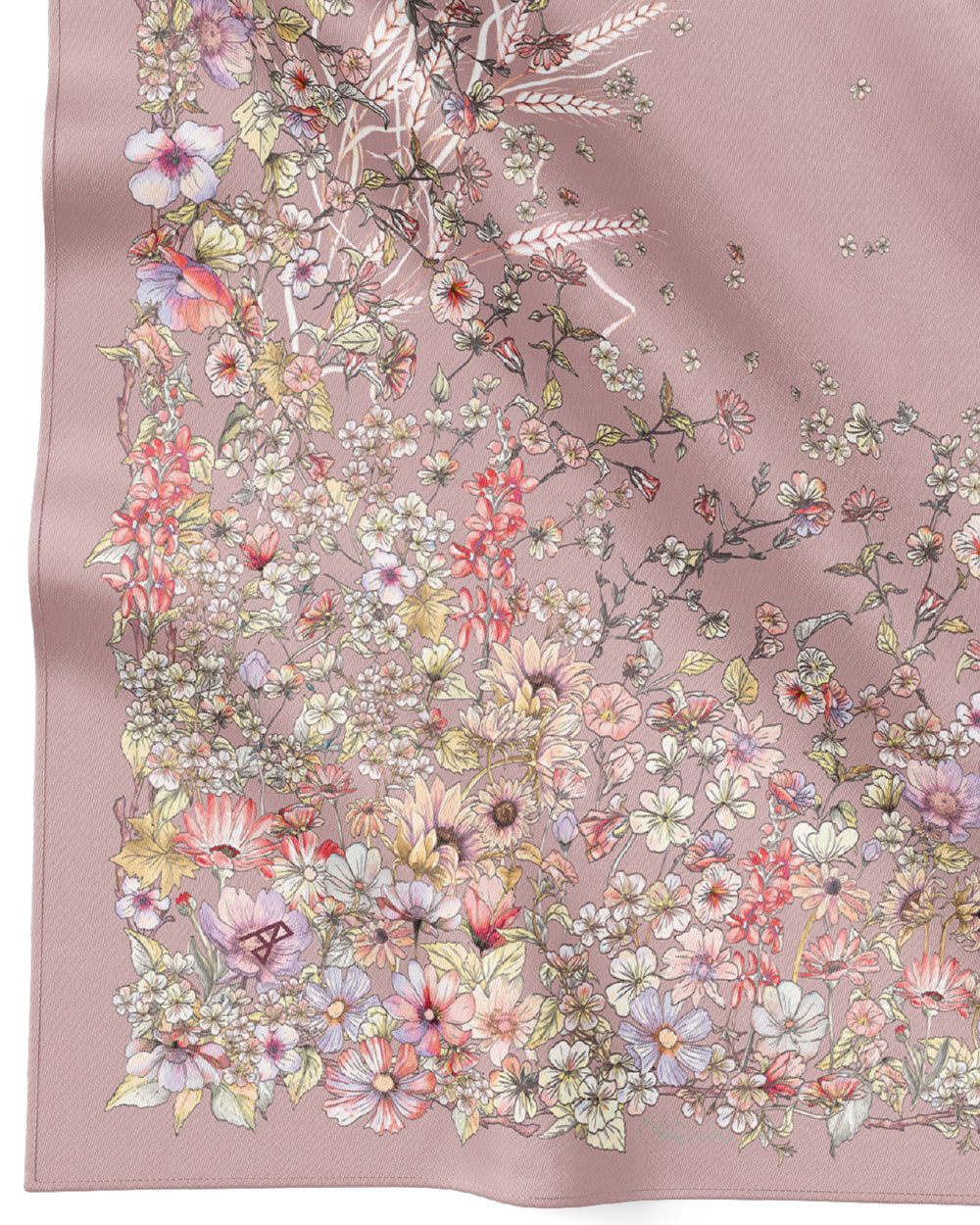 AZ SIGNORIA ROSE BLOOM